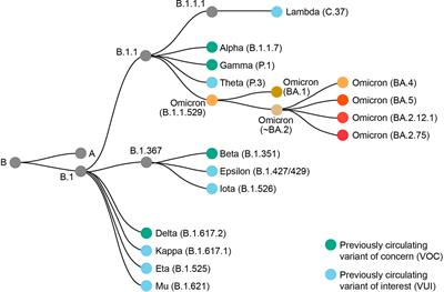 Frontiers | SARS-CoV-2 Omicron variants: burden of disease, impact on vaccine effectiveness and ...